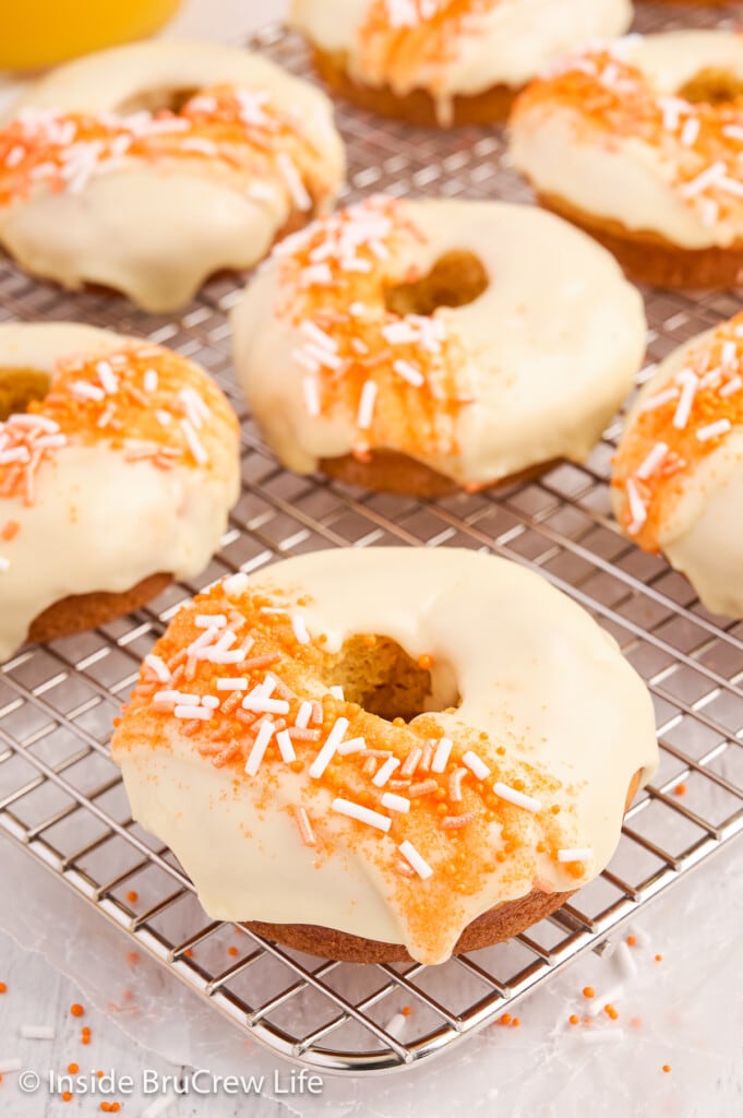 Orange Donuts - Inside BruCrew Life