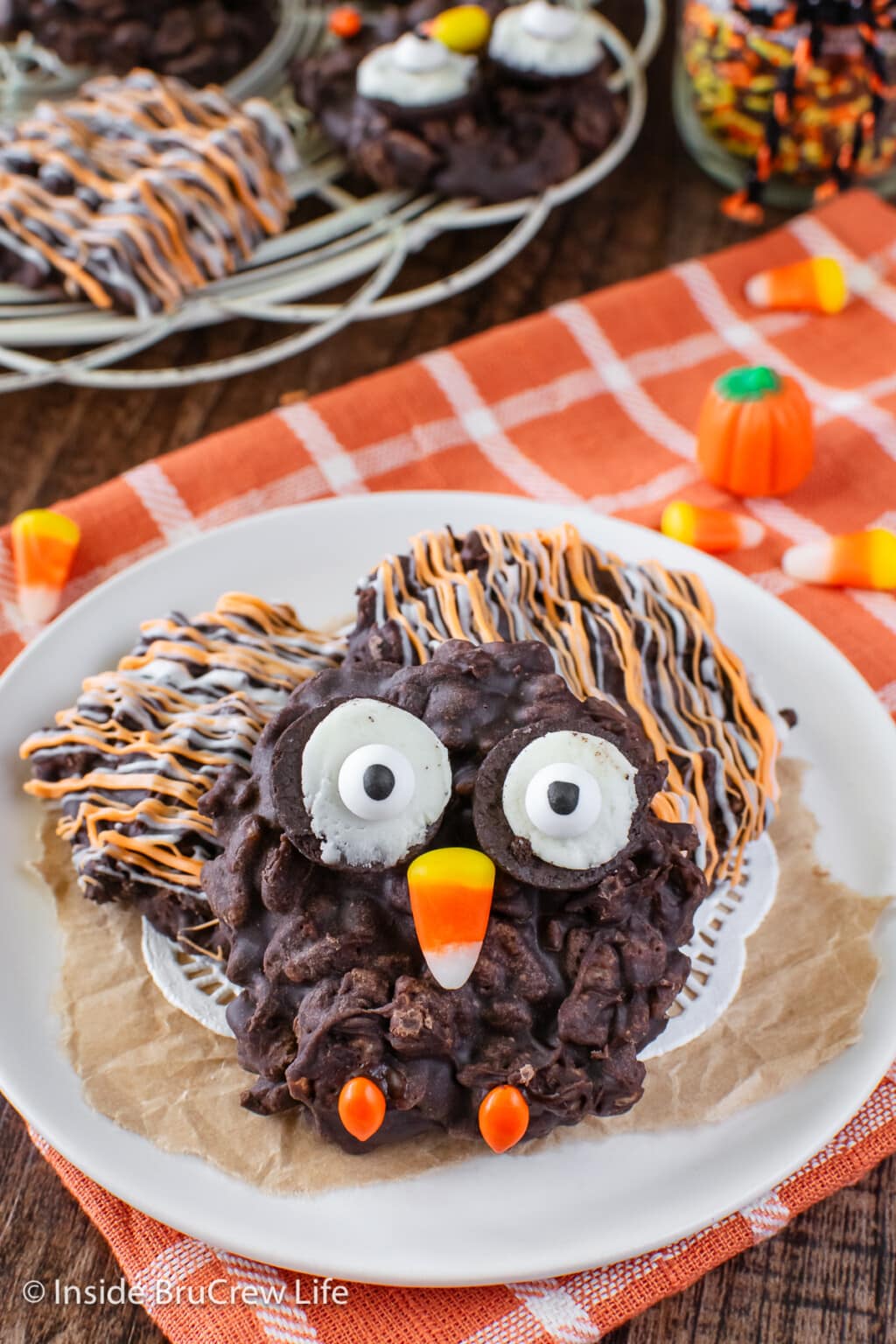 No Bake Owl Cookies Recipe (How to Make and Decorate) - Inside BruCrew Life