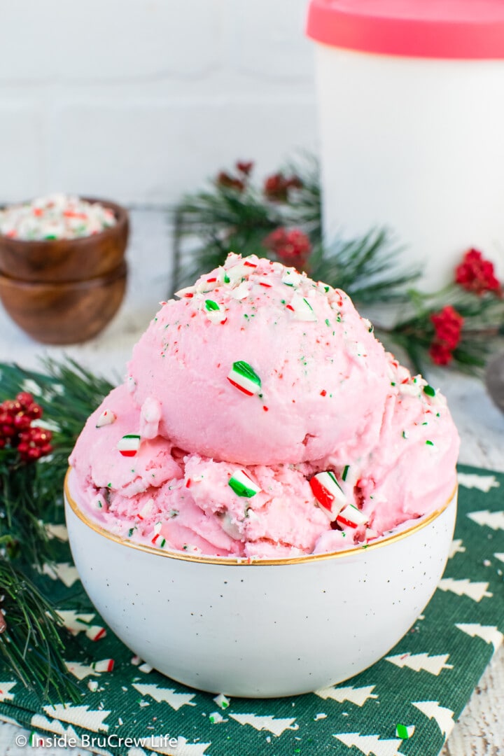 Homemade Peppermint Stick Ice Cream Recipe - Inside BruCrew Life