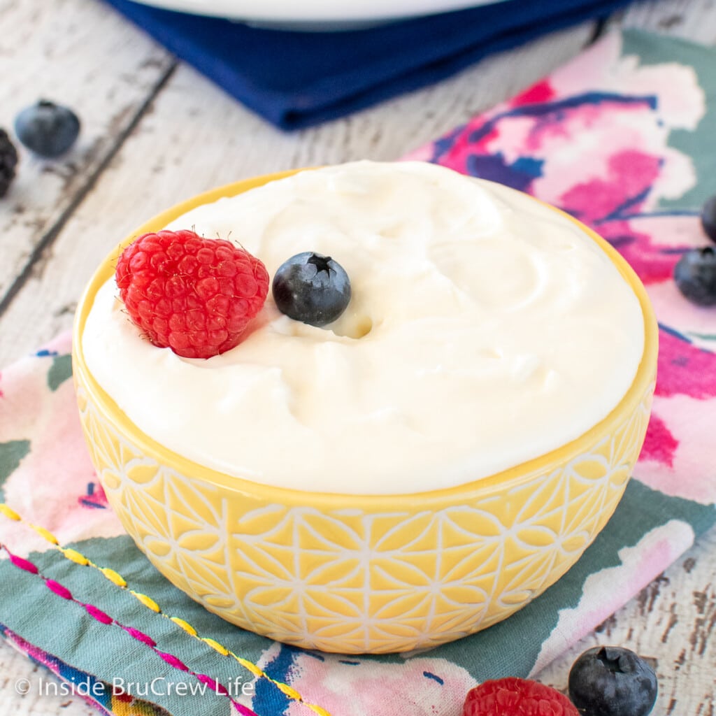 Lemon Fruit Dip - Inside BruCrew Life