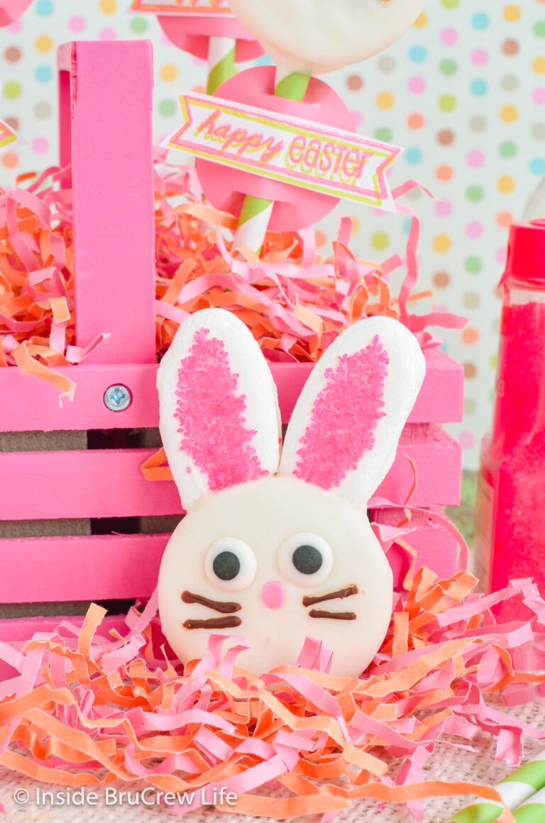 Oreo Bunnies - Inside BruCrew Life