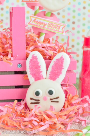 Oreo Bunnies - Inside BruCrew Life