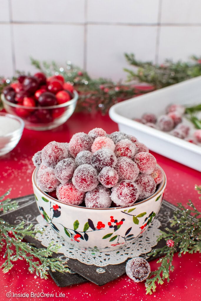 How To Make Sugared Cranberries - Inside BruCrew Life