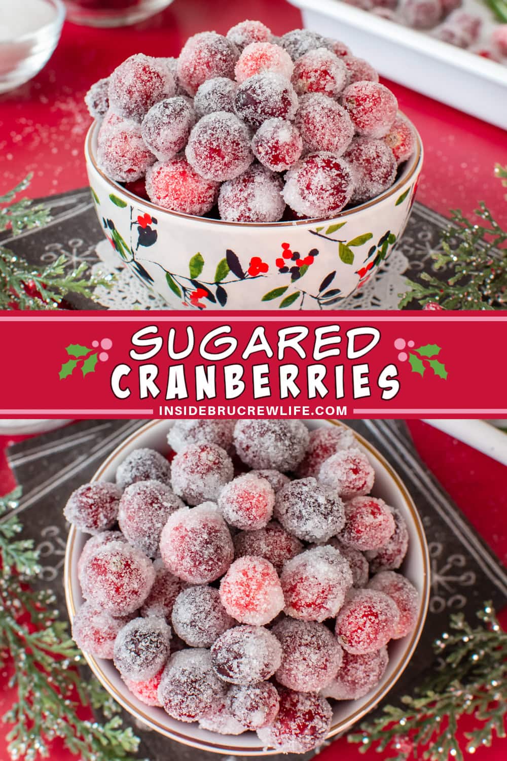 How To Make Sugared Cranberries - Inside BruCrew Life