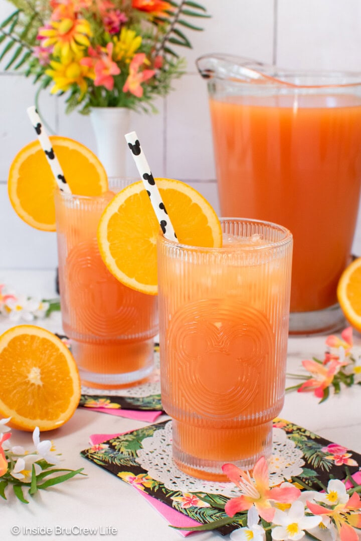 POG Juice Recipe (Disney Copycat) - Inside BruCrew Life